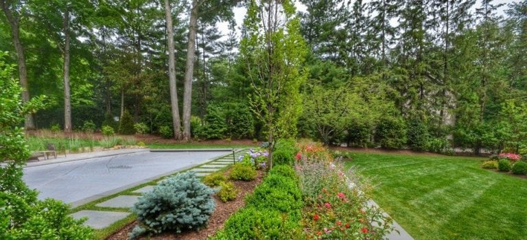 Landscape Windbreaks and Efficiency | Sponzilli Landscape Group