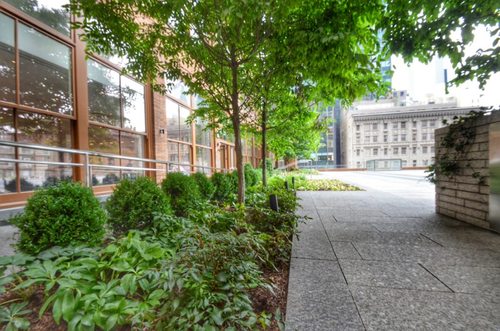 Carnegie Hall Rooftop Terrace Makeover | Commercial Portfolio | Sponzilli