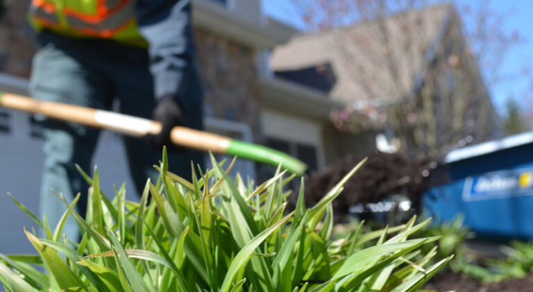 Spring Lawn and Landscape Maintenance Guide - Sponzilli Landscape
