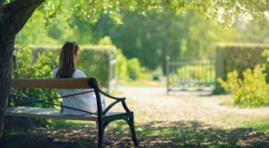 How to Help Your Landscape Survive the Summer Heat