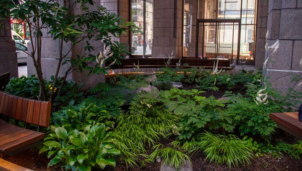 Award-Winning LEED Landscape Design NYC | 550 Madison Ave